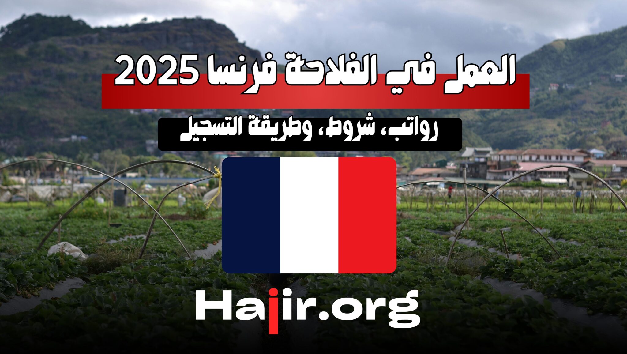 العمل في الفلاحة فرنسا 2025: رواتب، شروط، وطريقة التسجيل